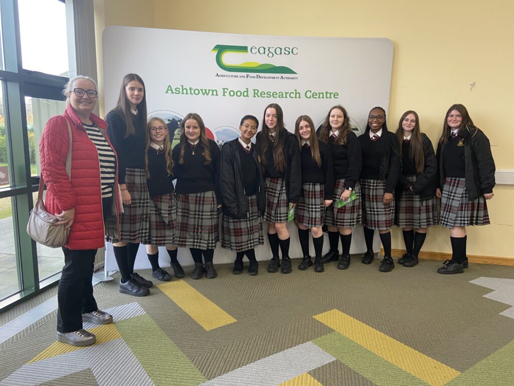 Transition Year – Lucan Community College