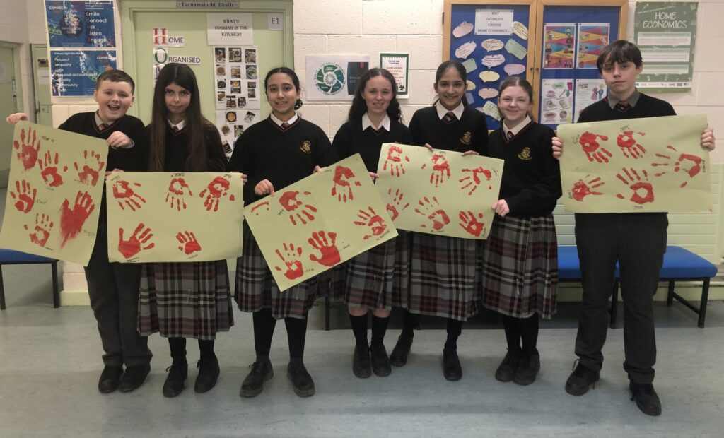 2nd Year – Lucan Community College